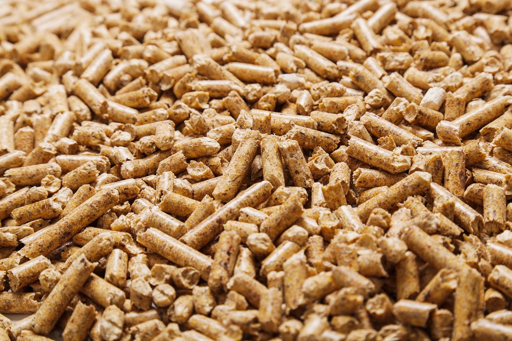 La sequía histórica también impacta en las exportaciones de aceite y ...